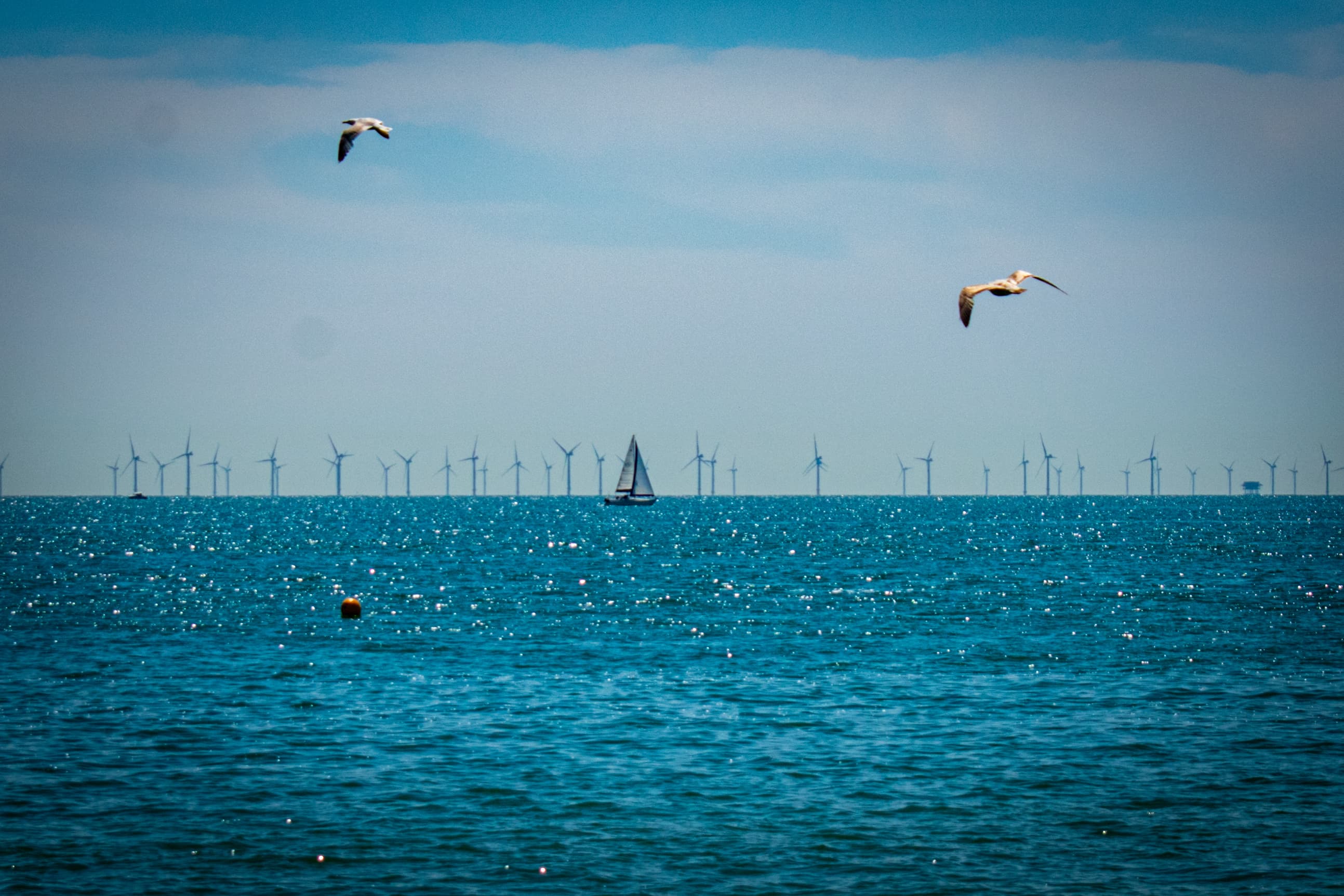 NIRAS hjælper Energistyrelsen med at beskrive, hvordan miljøeffekten af ...