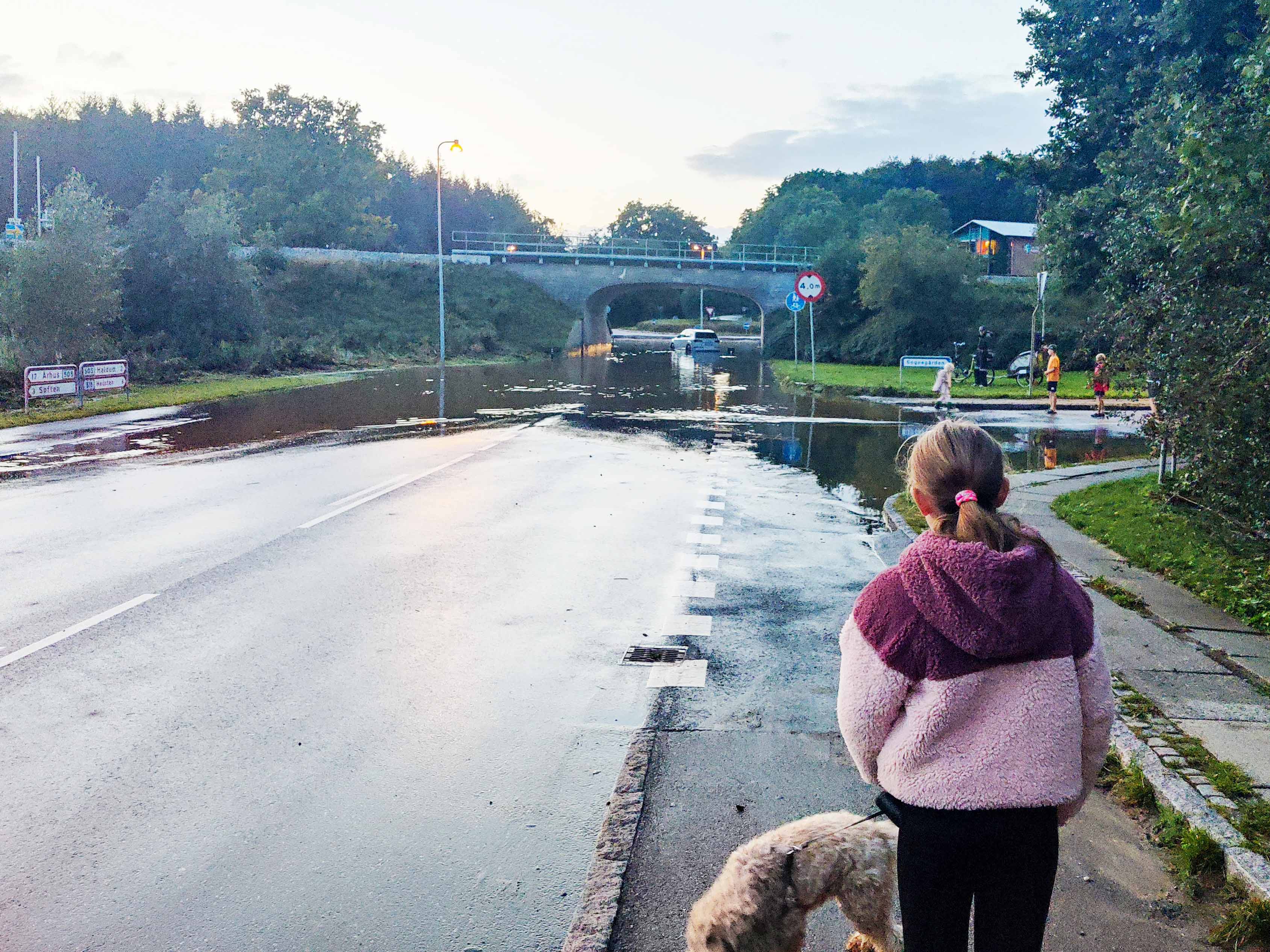 Rådgivende ingeniører - Tværfaglig rådgivning - NIRAS
