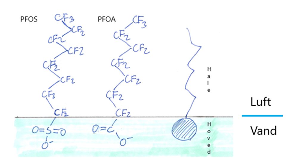 PFAS i havskum - en kilde til forurening på landjorden?